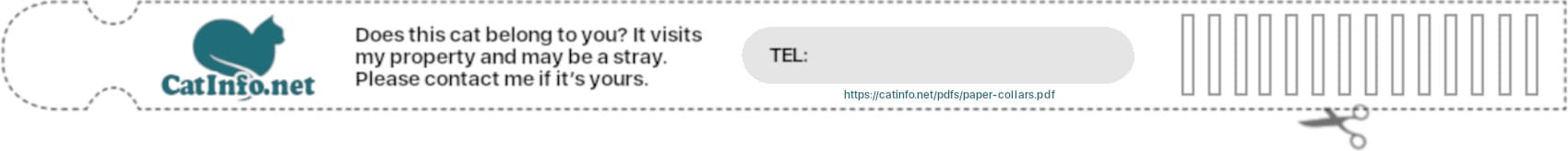 Using a Paper Collar on a Cat – CatInfo.net